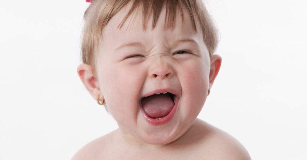 Naslovna - Bebac.com