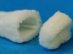 Sjajno otkriće: Novi zubi iz implanata od matičnih ćelija